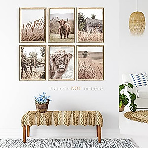 VICBOU Highland Cow Wall Art Highland Cow Decor Farmhouse Wall Decor Farm Animal Cow Print Stuff Rustic Wheat Field Landscape Print Painting for Home Kitchen Bathroom Living Room, 6Pcs, 8x10 Unframed