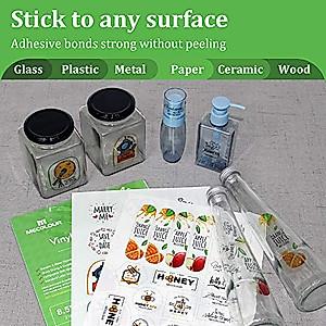 MECOLOUR Premium Printable Vinyl Sticker Paper Transparent 20 Clear Sheets, No-waterproof, Vivid Colors, Tear Resistant - for Any Inkjet Printer