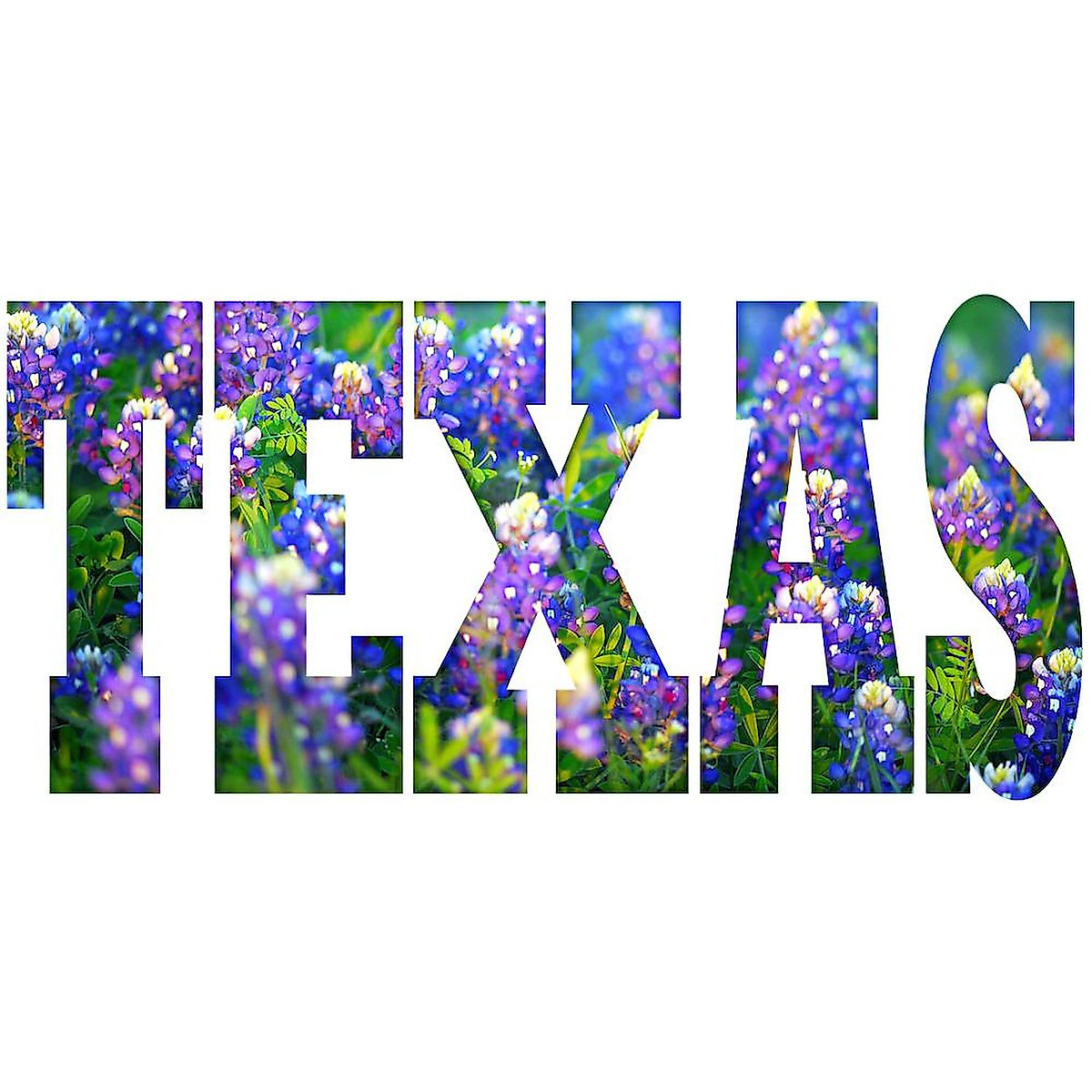 CafePress Texas Bluebonnets Mug Ceramic Coffee Mug, Tea Cup 11 oz