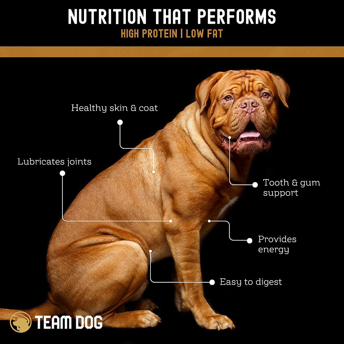 TEAM DOG Beef Trachea Dog Chews | Single Ingredient Dog Treat | 100% Freeze Dried Beef Gullet Sticks for Dogs | Supports Healthy Teeth & Gums | All Natural Esophagus Dog Treats Made in USA | 3 Per Bag