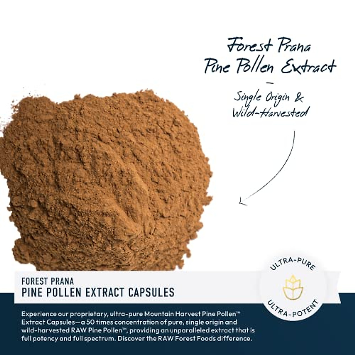 Pine Pollen Extract Capsules — Adaptogenic, Phytosterols, Endocrine Health Support — Highest Potency, Ultra-Pure Extract — Men & Women — No Fillers, Never Irradiated, Vegan, Non-GMO — 120 Count