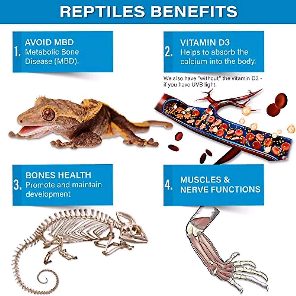 Gargeer 4oz All Reptile Calcium Powder with Vitamin D3, Phosphorus-Free, Ultrafine Powder, Pure Dust & Ready to Use for All Reptiles, Lizards & Amphibians Supplement. Made in The USA. Enjoy !