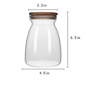 RockTrend Clear Glass Food Sealed Storage Container Spice Jar Coffee Bean Storage Jar with Wooden Lid