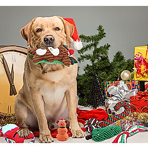 Lobeve Christmas Dog Toys Pack for Puppies,7 Pack Holiday Puppy Toys for Small Dogs,Puppy Chew Toys with Cute Squeaky Toys,Xmas Dog Flying Discs,Treat Ball and More Rope Toys