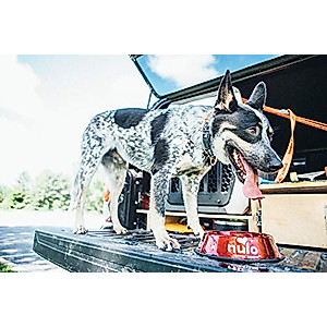 Nulo Senior Grain Free Dog Food With Glucosamine And Chondroitin (Trout And Sweet Potato Recipe, 11Lb Bag), Model:Senior Trout & Sweet Potato