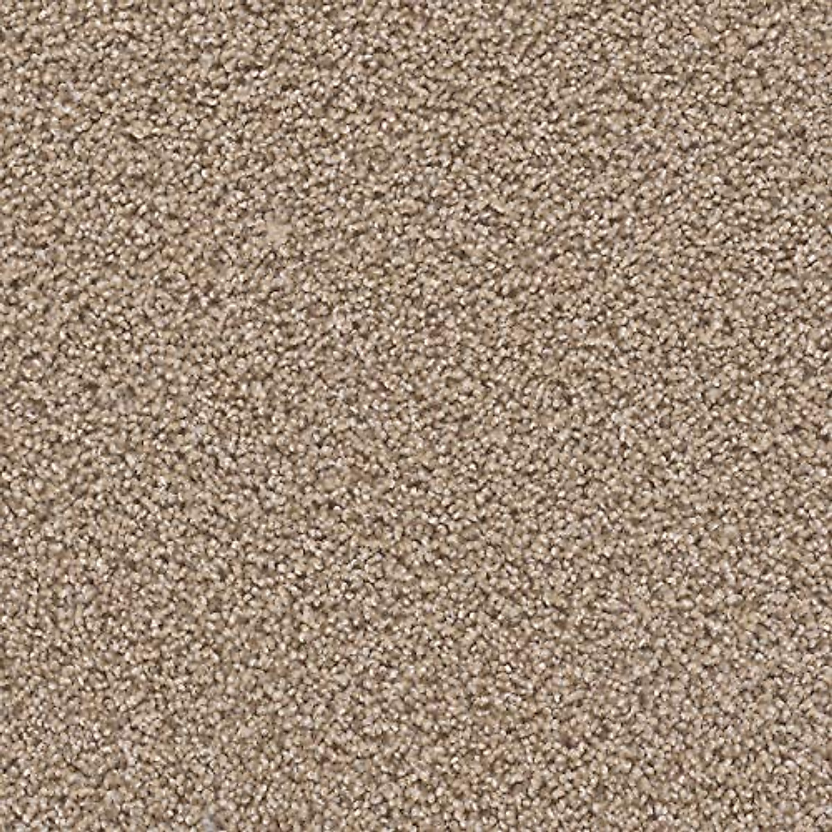 3'x5' - Speckled Stone ECONOMICAL Solutions Collection | Custom Carpet Area Rugs & Runners - 25 Oz. Soft Textured 100% PureColor BCF Polyester. FHA Approved-CRI Green Label-Made in U.S.A.