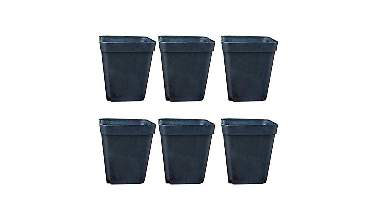 NUOBESTY 2 Inch Black Square Flower Pots - 100PCS Set