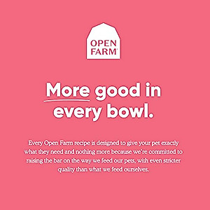 Open Farm Wild-Caught Salmon & Ancient Grains Dry Dog Food, Sustainably Fished Salmon Recipe with Wholesome Grains and No Artificial Flavors or Preservatives, 4 lbs