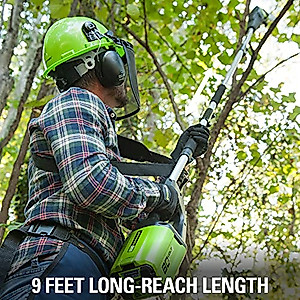 Greenworks Pro 80V 10 inch Brushless Cordless Polesaw, 2Ah Battery and Charger Included PS80L210