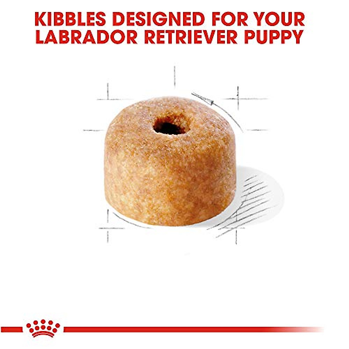 Royal Canin Breed Health Nutrition Labrador Retriever Puppy Dry Dog Food, 30 lb.