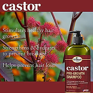 Difeel Castor Pro-Growth Shampoo 12 oz. & Conditioner 12 oz. (2-Piece Set)