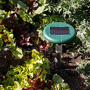 Good Life, Inc. Solar Safeguard | Solar Powered Mole, Gopher & Vole Repeller | Ultrasonic Sounds & Vibrations | Large Coverage Area | Water & Weather Resistant