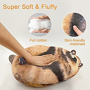 GBTCYDM Raccoon Plush, 15inch Cute Stuffed Animal Sleep Pillow, Soft Raccoon Plush Toy for Decoration or Comfort, Gift for Girls, Boys, and Girlfriend