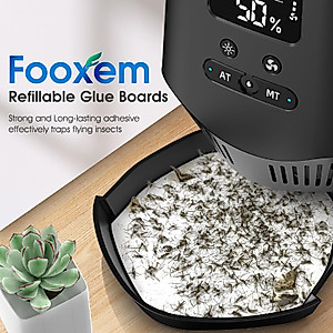 Fooxem Glue Board Refills for Fruit Fly Traps Indoor, Replacement Sticky Boards for Gnats Moths Mosquitos Pest Control, 10 Pack