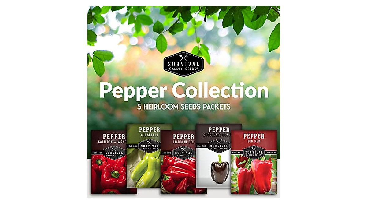 Sweet Pepper Seed Collection - Non-GMO Heirloom for Home Gardens