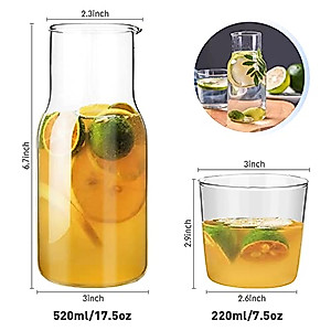 Bedside Carafe Night Water Carafe with Tumbler Glass 2 Piece Water Carafe Set for a Handy Midnight Drink,Heat Resistant Glass,14 oz