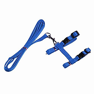 Gozier Pet Lead Leash Halter Harness Adjustable Safety Nylon Rope Strap Belt for Dog Cat Kitten (Blue)