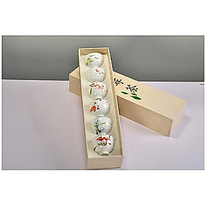ToiM China Characteristic Exquisite Hand-painted Ceramic Tea Cup Set Kung Fu Tea Cups, Set of 6, Gift Box Packaged