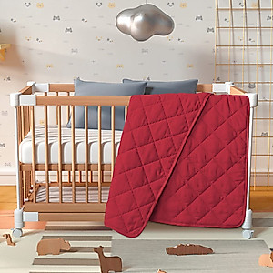 BEDSUM 100% Brushed Microfiber Down Alternative Toddler Comforter, Ultra Soft Lightweight and Warm Breathable Crib Quilted Blanket for Nursery Stroller Bed, 39x47 Inches, Red