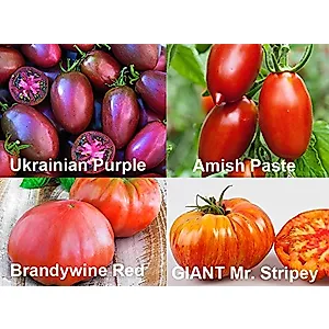 This is A Mix!!! 30+ Rainbow Deluxe Tomato Seeds Mix 16 Varieties, Heirloom Non-GMO, Indeterminate, Old German, Chocolate Stripes, Ukrainian Purple, Amish Paste USA