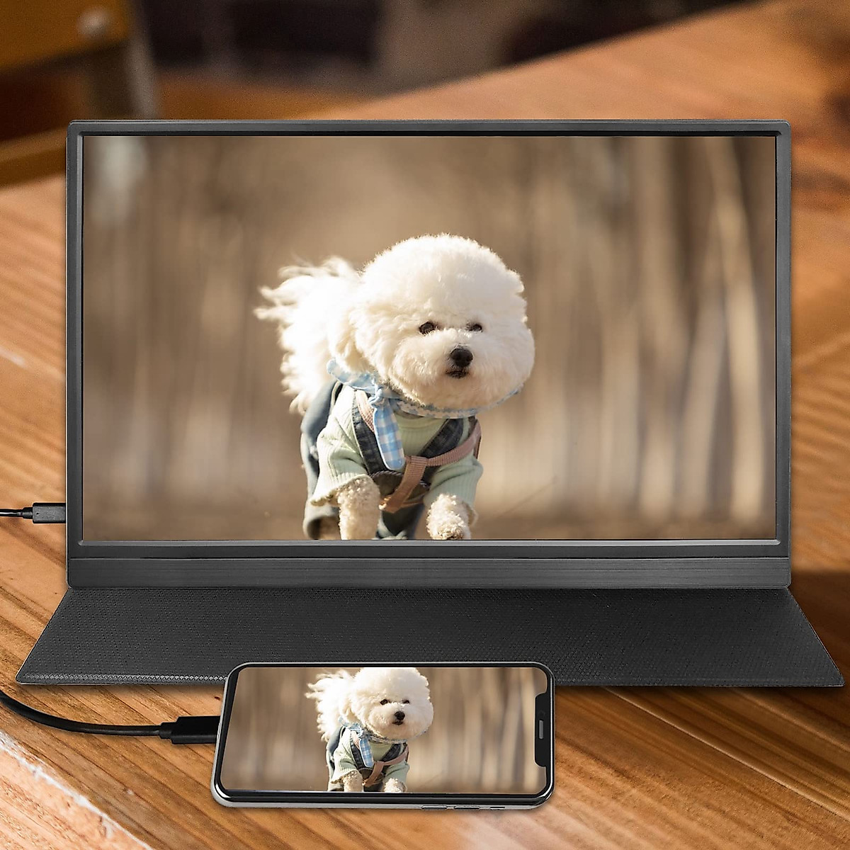 ZTGD 15.6'' Professional Portable Monitor (1920X1080) FHD, Portable Travel Monitor for Laptop USB-C HDMI Gaming Ultra-Slim Display w/Speaker, External Monitor for Laptop PC Phone PS5 Switch 13 B