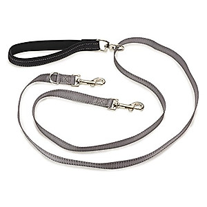 PetSafe Two Point Control Leash, Padded and Reflective Nylon Leash Converts to Single Leash, Works with 3in1 Harnesses, 3/4 in. Wide Leash