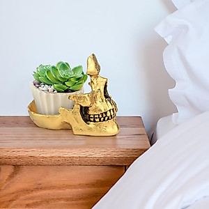 Mrlikale Skull Glasses Stand Holder, Creative Eyeglasses Holder, Sunglasses Spectacle Display Rack, Key Holder Resin Sculptures for Entryway, Home, Office, Desk, Nightstand (Gold)