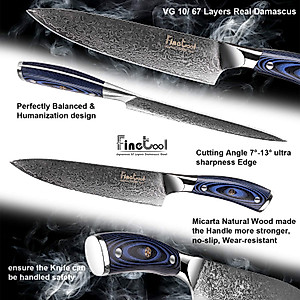 Chef Knives,FineTool 8 inch Professional Kitchen Knife Japanese Damascus VG10 67 Layer Stainless Steel Knives with Ultra Sharp Blue Micarta Handle