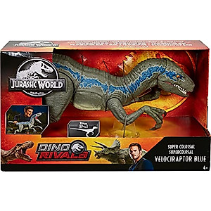 Mattel Jurassic World Super Colossal Velociraptor Blue Dinosaur Action Figure Toy, 3.5-ft Long with Eating Feature (Amazon Exclusive)