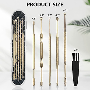 Hion 6 Pcs Extended Ear Wax Removal Kit,Professional Double-Headed Ear Pick Earwax Removal Tools,316L Stainless Steel Ear Cleaner Curette with Cleaning Brush and Storage Box,Suit for Kid Adult(Gold)