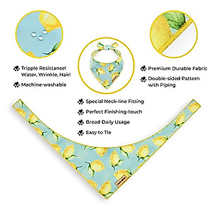 Paws Wishes Dog Bandana 2 Pack, Lemon Fruit and Candy Set Lemon Festival, Pet Friendly Design, Hair and Water Resistant, Adjustable Dog Scarf for Small Boy Girl Dog