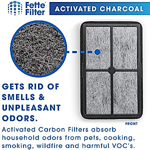 Fette Filter - FLT4010 Replacement Filter Compatible with GermGuardian Filter A for Models AC4010 & AC4020 Series and Black + Decker Model BXAP040 Air Purifiers - Pack of 2