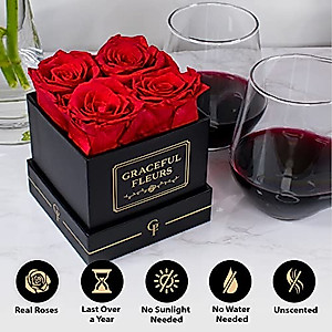 Chloe's Graceful Fleurs | Real Roses that Lasts for Years | Fresh Flowers for Delivery Prime Birthday | Birthday Gifts for Women | Preserved Roses in a Box | Forever Rose Box | Mothers Day Gifts (Red)