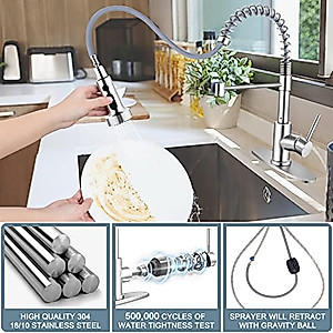 Homikit Kitchen Sink Faucet Brushed Nickel with Pull Down Sprayer, Stainless Steel Spring Kitchen Faucets with Deck Plate 1 or 3 Hole, High Arc Commercial Faucet for Farmhouse Laundry Utility Rv
