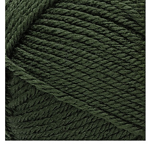 Bulk Buy: Red Heart Soft Yarn (2-Pack) (Dark Leaf)