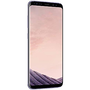 Samsung Galaxy S8 64GB Unlocked Phone - US Version (Orchid Gray)