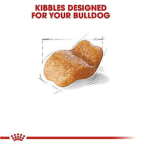 Royal Canin Bulldog Adult Dry Dog Food, 30 lb bag