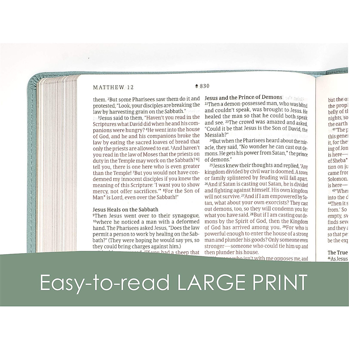 NLT Large Print Thinline Reference Bible, Filament Enabled (LeatherLike, Floral Leaf Teal, Red Letter): Includes Free Access to the Filament Bible App ... Notes, Devotionals, Worship Music, and Video