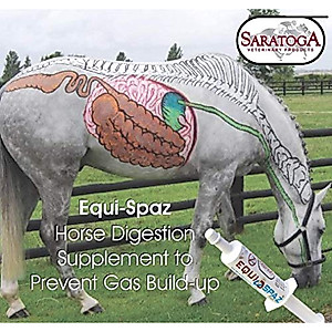 EQUI-SPAZ Horse Digestion Supplement to Prevent and relieves Gas Build-up (Relieves Colic in 15 Minutes) (1)