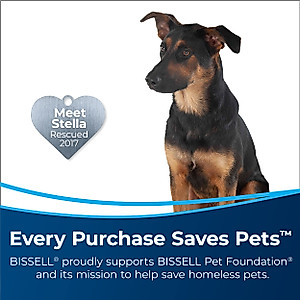 BISSELL® TurboClean™ DualPro Pet Carpet Cleaner