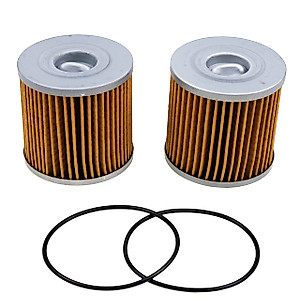 JEENDA X2 Transmission Filters Includes o-ring Compatible with Hydro Gear 71943 Ferris 5101987X2 5101987X2YP Scag HG71943 Bad Boy 063-1070-00 Gravely 21548300 ZT-5400 (2)