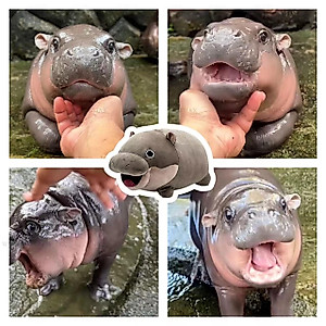 Moo Deng Hippo Plush,Cute Pygmy Hippo Plushie Toy,2024 Moo Deng Hippo Plushies Soft Plush Toy for Kids Fans,Soft Baby Hippopotamus Stuffed Animal Pillow (moo deng)