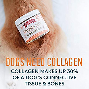 The Missing Link Collagen Care Soft Chew Nutritional Treats for Dogs - Collagen, Glucosamine, Chondroitin & Turmeric - Mobility & Anti-Inflammatory Support - Hip & Joint 60 Count