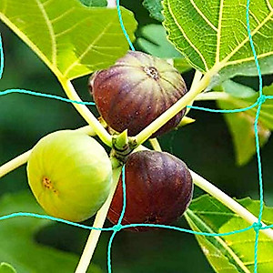 Zivisk 2Pcs Cucumber Tomato Trellis Netting, Heavy Duty Garden Netting for Climbing Plants Support, Pea, Grape, Bean, Fruit, Vegetables - 4" Mesh Size, 3Ft x 6Ft