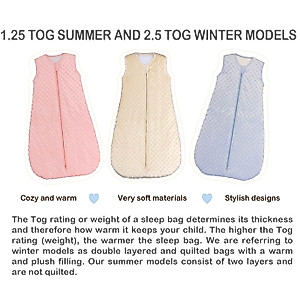 BABYINABAG Very Warm 2.5 Tog Quilted Winter Model Baby Sleep Bag or Sack, Plush Minky Dot for Infants and Toddlers (Large (22 mos - 3T))
