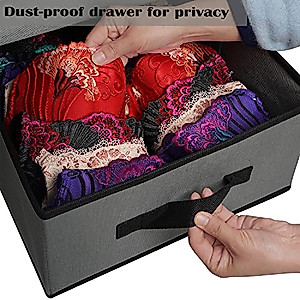 Licode 66LBS-Capacity Hanging Closet Organizer, Collapsible Hanging Closet Shelves, Hanging Purse Handbag Organizer for Closet & RV,42.5" H X 12.2" W X 13.6" D, 1-Pack A Grey