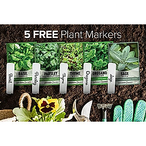 Italian Herb Seeds for Planting 5 Variety Herbs Seed Packets Including Italian Flat Leaf Parsley, Sage, Oregano, Thyme, Basil - Great for Kitchen Herb Garden, Hydroponics Heirloom - Gardners Basics