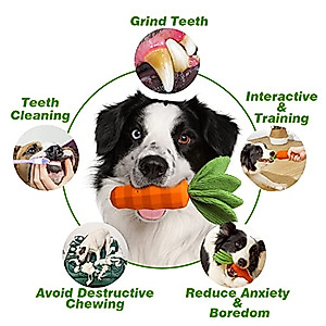 Dog Squeaky Chew Toys for Aggressive Chewers, Rubber Carrot Dog Toys for Training and Cleaning, Durable Interactive Tough Dog Toy for Puppy Medium Large Dogs