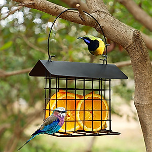 winemana Outdoor Wild Bird Feeder, Black Small Hanging with Metal, Rainproof Squirrel-Proof, Single Suet Cake Style for Outside Office