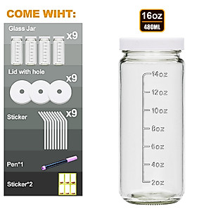 Salzesfalls 16oz Glass Juice Bottles with Lids and Straw,Reusable Juice Bottles with Lids,Travel Drinking Jars with Scale, for Juice,Coffee,Iced Tea,Smoothies,Milk,Set of 9